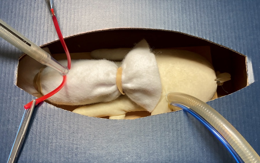 Cardiac surgery simulation – Part 2: Cannulation | MMCTS